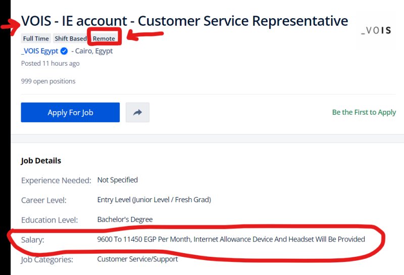 Customer Service Representative - _VOIS Egypt - Work From Home
